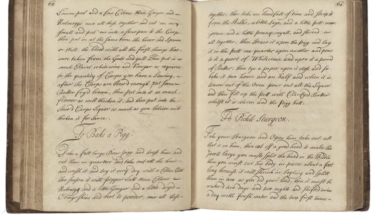 Renaissance Historical Recipes - Lost Kitchen Scrolls